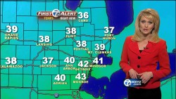 Hally Vogel - WXYZ 7 Detroit - TvNewsCaps